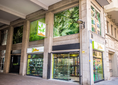 ️ Doctor Cogollo Oficial | Lugares Cannabis | 2026